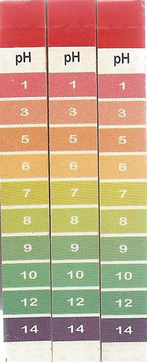How To Test Ph Paper At Norma Shanks Blog