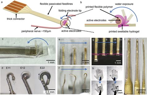 4d‐printed Self‐folding Electrode A Schematic Overview Of The Whole Download Scientific