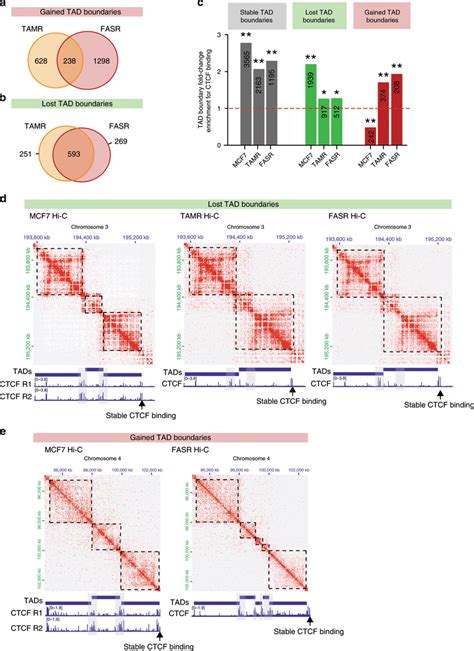 Loss Of Tad Boundaries Associates With Decreased Ctcf Insulation A Download Scientific Diagram