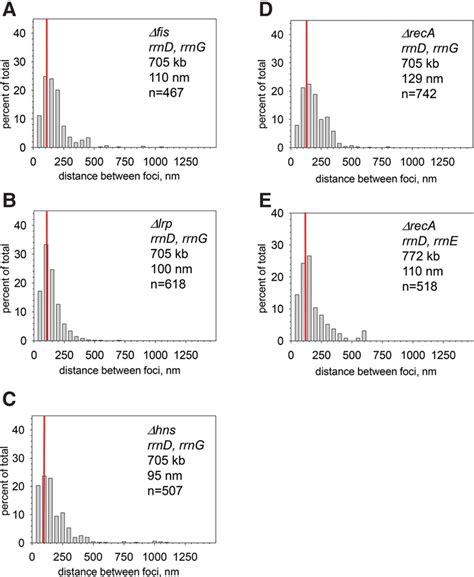 Colocalization Of Distant Chromosomal Loci In Space In E Coli A Bacterial Nucleolus