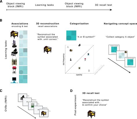 Maps Of Conceptual Spaces In The Hippocampus Geometry Matters