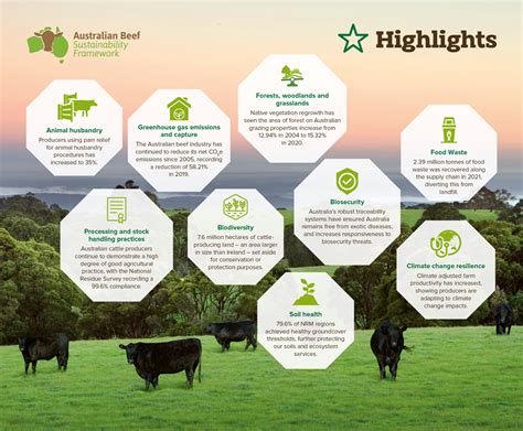 The Framework Explained 2022 Annual Update Highlights The Australian The Framework Explained 2022 Annual Update Highlights The Australian