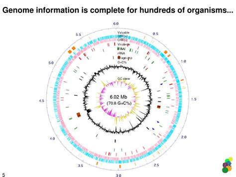 PPT Analysis Of Gene Expression Data PowerPoint Presentation Free Download ID 2747891