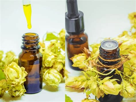 The Science Phix Snaps