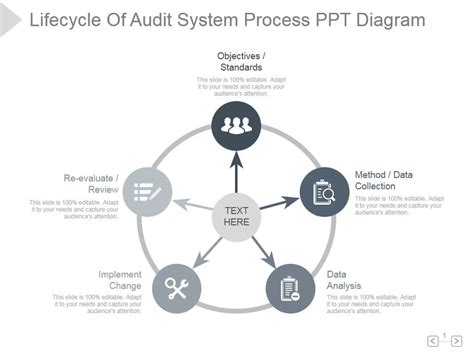 Lifecycle Of Audit System Process Ppt Powerpoint Presentation Icon