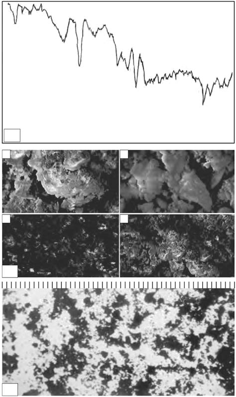 Metallographic Photograph I Microstructure Ii And X Ray