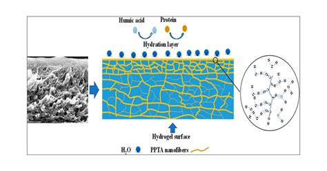 Nanofibrous Kevlar Hydrogel Ultrafiltration Membrane With High Acid Resistance And Antifouling