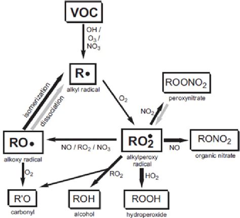 Secondary Organic Aerosol Mass Yields From No3 Oxidation Of 55 Off