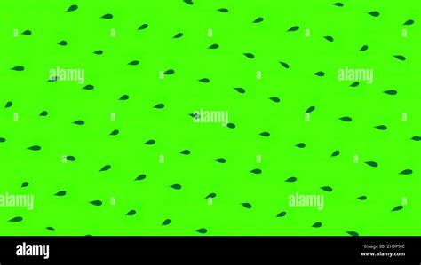 Seamless Loop Animation Abstract Colorful Pattern Of Small Green