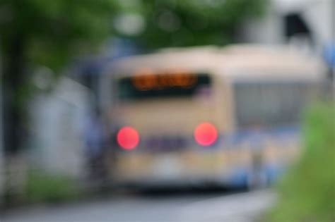 ねこめしのジャンクカメラ・レンズの部屋 Ai Nikkor 200mm F4 試写