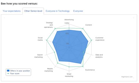 Digital Skills Index Lite Alex Levashov Ecommerce Consultant Melbourne Australia