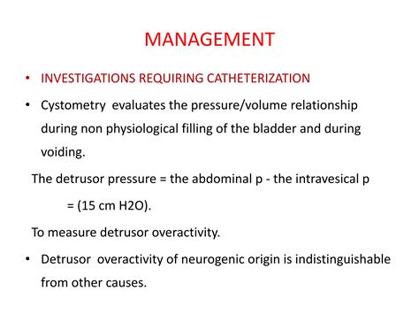 Urinary Bladder Innervation And Syndromes Pptx