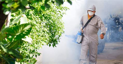 The Rising Threat Dengue Fever In A Warmer World Avpn