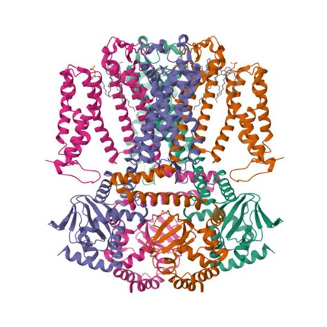 Rcsb Pdb 8wui Skor D312n L271p Double Mutation