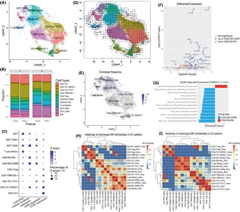Clustering And Characterizing T Cells A Umap Visualization Of T Download Scientific Diagram