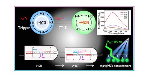 A Reciprocal Amplifiable Fluorescence Sensing Platform Via Replicated Hybridization Chain