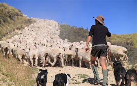 Latitude Adjustment Distance From The Equator Shapes Our Thinking Scientific American