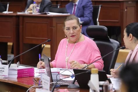 Procesos Electorales Locales 2023 2024 Avanzan En Tiempo Y Forma