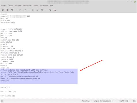 Comment éviter La Fuite Dns Avec Openvpn Sous Linux Mint Numétopia