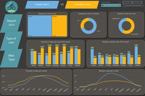 Be Your Data Analyst And Visualization Expert By Fernadocolazo Fiverr