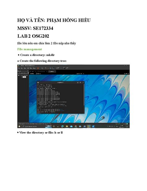 Osg Lab2 Pham Hong Hieu HỌ VÀ TÊn PhẠm HỒng HiẾu Mssv Se Lab 2 Osg File Lớn Nên Em Chia Làm