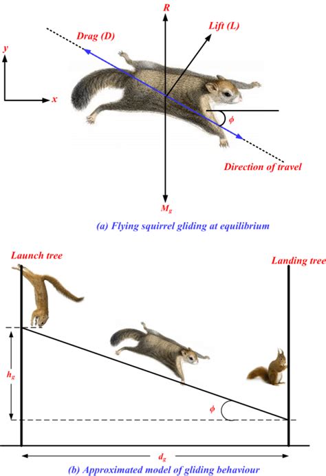 Behavior Of Squirrel Search Algorithm Ssa Using Meta Heuristics Method Transpire Online