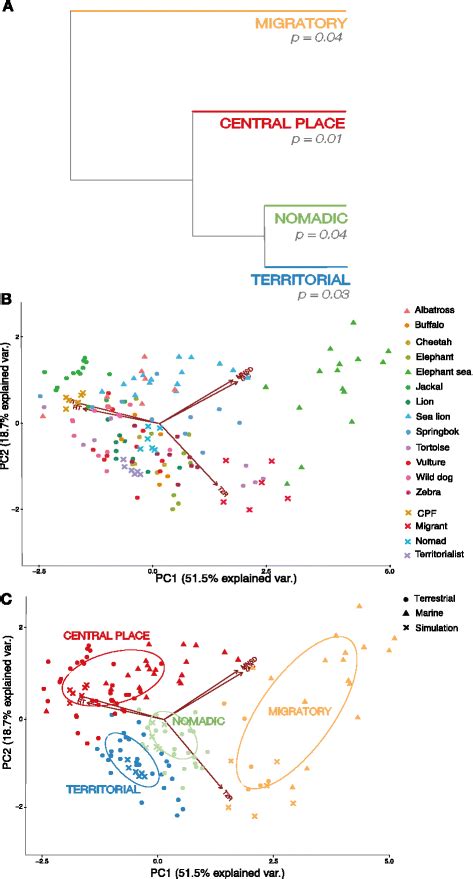 A Dendrogram Tree Displaying Results Of Ward Hierarchical Cluster