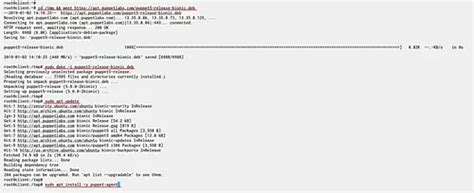 How To Add Puppet Agents To Foreman