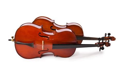Bratsche Bilder Durchsuchen 139 384 Archivfotos Vektorgrafiken Und