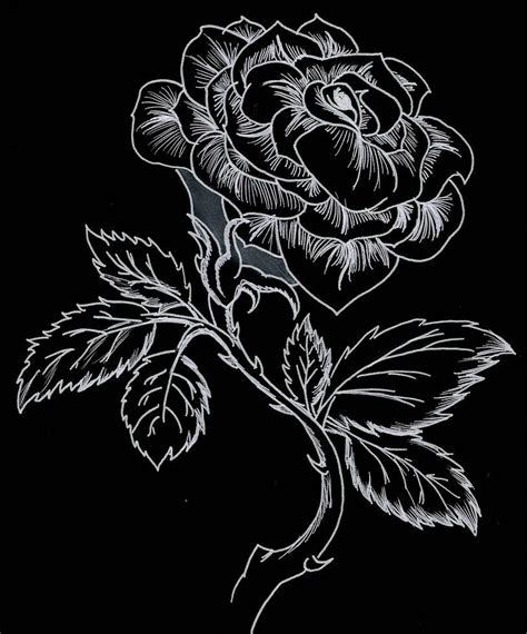 Rose Drawing Black Background At Kathryn Saunders Blog
