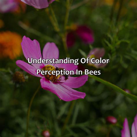 What Color Are Bees Attracted To