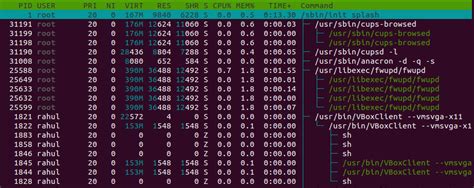 How To Use Htop Command For Process Management In Linux Techsphinx