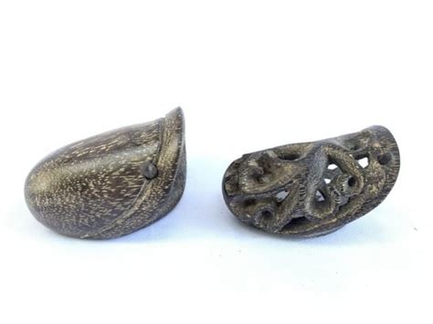 GENITAL PIERCING Barbell Penis Sex Ampallang Palang Apadravya