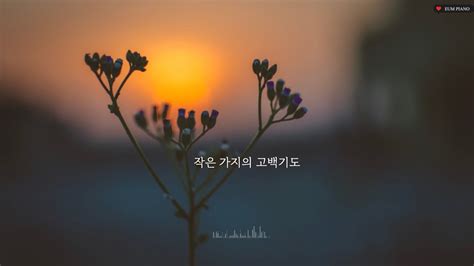 한곡묵상 작은 가지의 고백기도 Eum Piano 생활성가 생활성가 피아노 가톨릭피아노 가톨릭 성가 잔잔한 묵상 피아노 Youtube