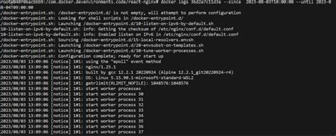 how to view docker container logs cherry servers