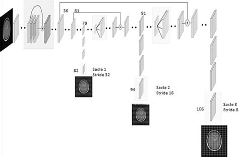 Predictions Across Different Scales Download Scientific Diagram