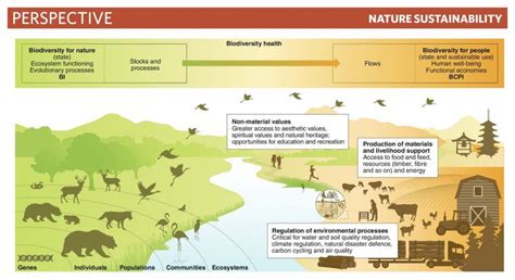 Towards A Policy Smart And Multidimensional Biodiversity Measure Unep Wcmc