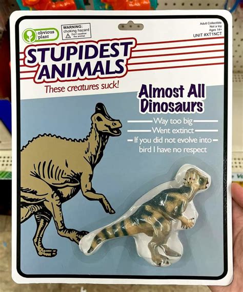 Latest Memes New Memes Memedroid