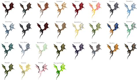 Colorful Dragon Illustration