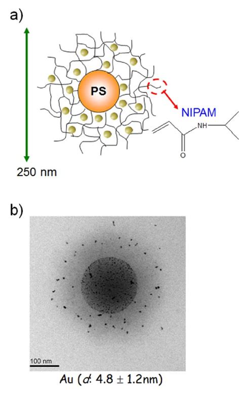 Core Shell Microgels As Nanoreactors A The Colloidal Carrier Download Scientific Diagram