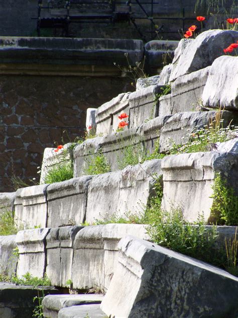 무료 이미지 늙은 벽 너무 크게 자란 수로 돌 로마 계단 차례로 1944x2592 817440 무료 이미지 Pxhere