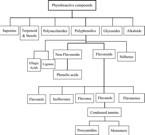 Classification Of Phytobioactive Compounds Download Scientific Diagram