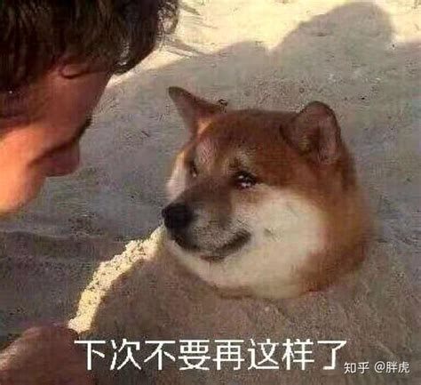 巴普洛夫 知乎