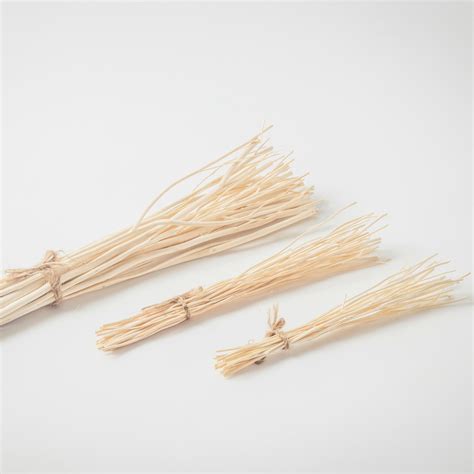 Diffuser Branches BsaB