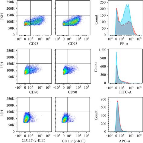 Morphological And Fluorescence Activated Cell Sorting Facs Analysis