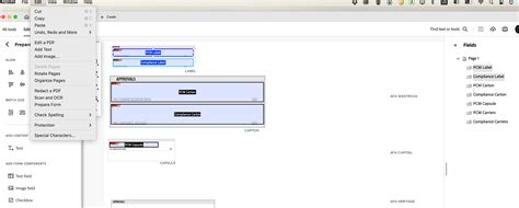 Copy Paste Cut All Greyed Out And Not Functionin Adobe Product