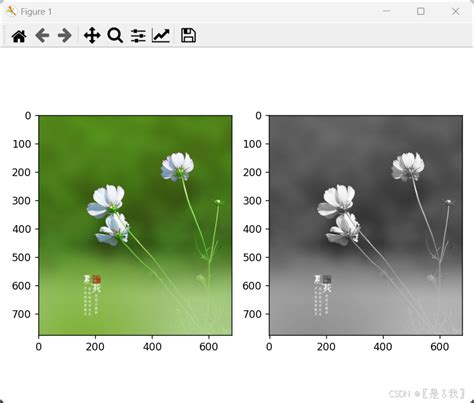Opencv的简单练习opencv在线编程 Csdn博客