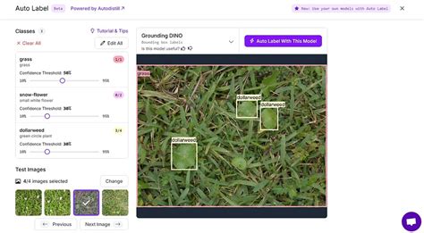 Auto Label AI Not Labelling Community Help Roboflow