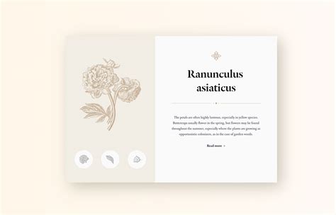 ui experiments behance