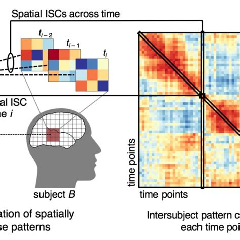 intersubject correlations of spatially distributed response patterns